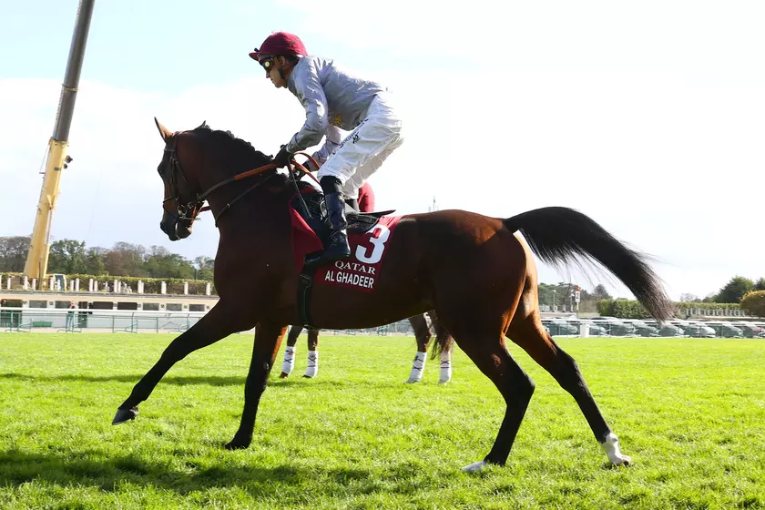 Doha : Al Ghadeer battu pour sa dernière sortie | Equidia