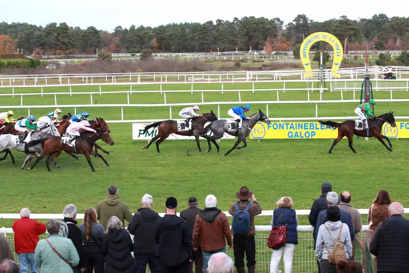 Quinté+: Arrivée et rapports du Quinté+ du jeudi 13 novembre : Gerard ...