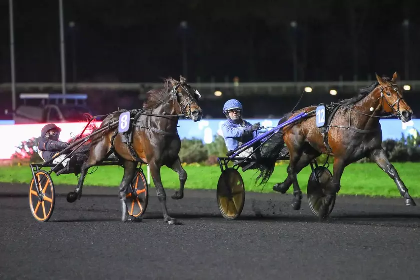 Point sur les engagés du Critérium Continental - Amérique Races Q3 et ...