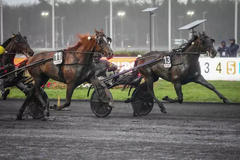 Quinté+: Prix d'Amérique Legend Race : Hokkaido Jiel, le sacre d'un ...