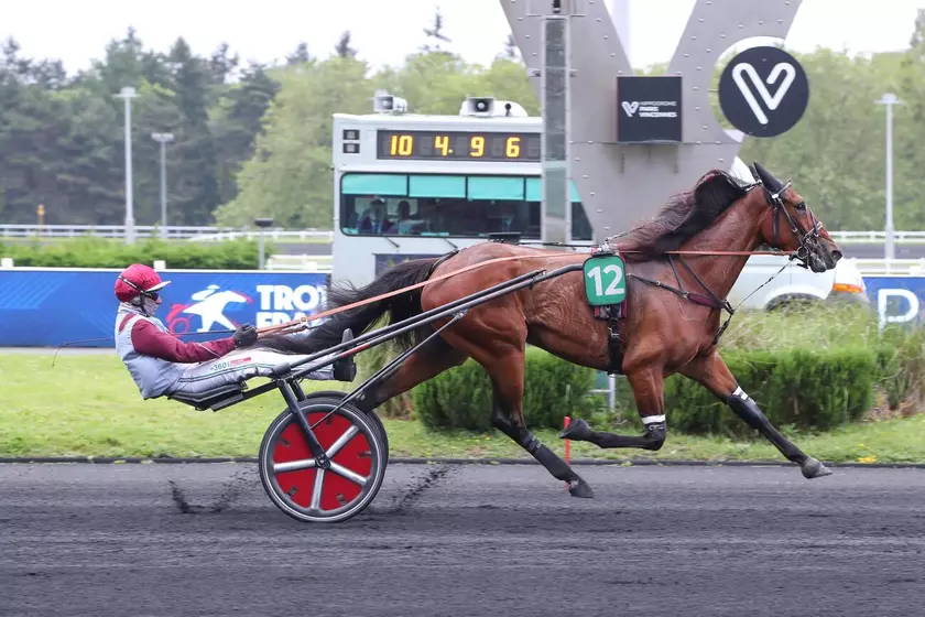 Mardi à Vincennes - Prix Ozo (Gr. 2) : Analyse et conseil de jeu | Equidia