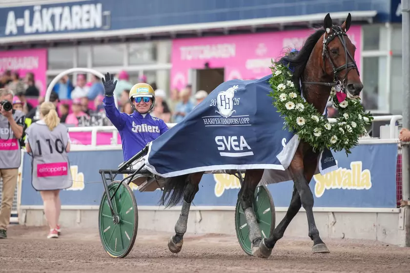Solvalla - Harper Hanovers Lopp : Gaining Experience surclasse l ...