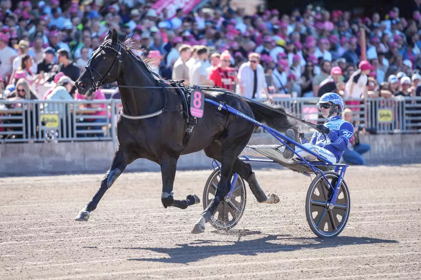 Grand Prix d'Oslo (Gr. 1) : Borups Victory en patron, Harley Gema se ...