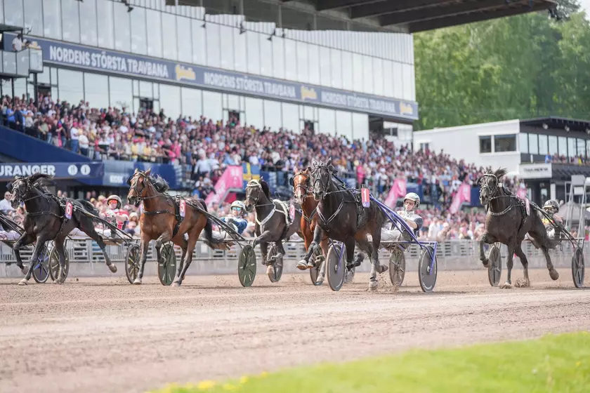 Les Français de l'Elitlopp réunis autour d'Anthony Roi pour faire le ...