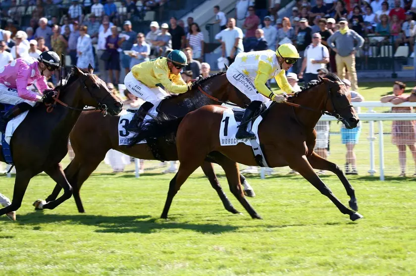 Quinté Sur La Voie Royal Dans Le Quinté Du Lundi 24 Octobre 2022