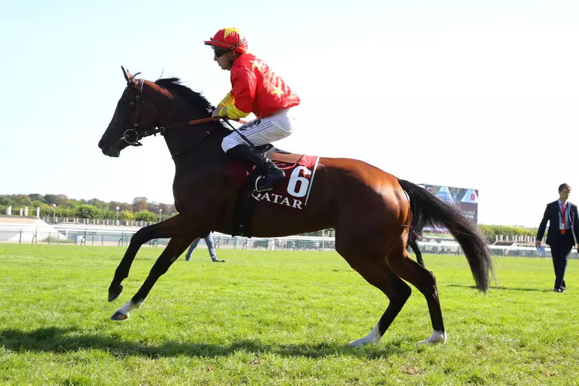 Dimanche - Qatar Prix Vermeille - Nicolas Clément : "Survie est en ...