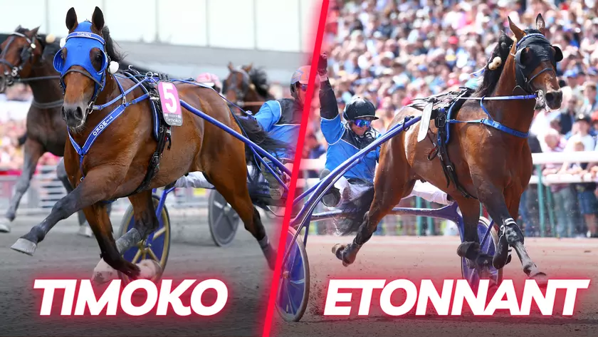 Timoko/Etonnant : qui du père ou du fils est le meilleur trotteur ...