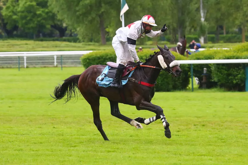 Grand Steeple-Chase Masters - Prix Ingré : Toscana du Berlais crée la ...