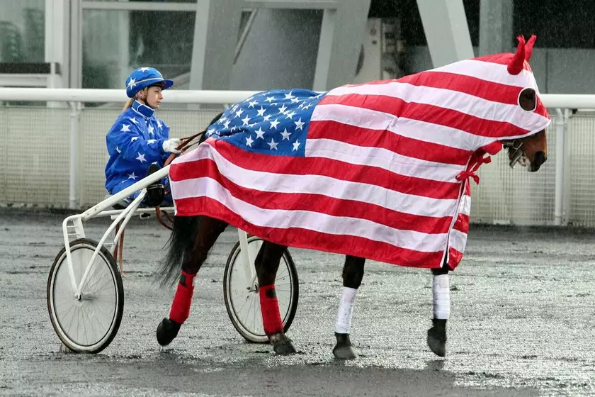 Analyse des partants de l’International Trot, la course à 1 million de ...