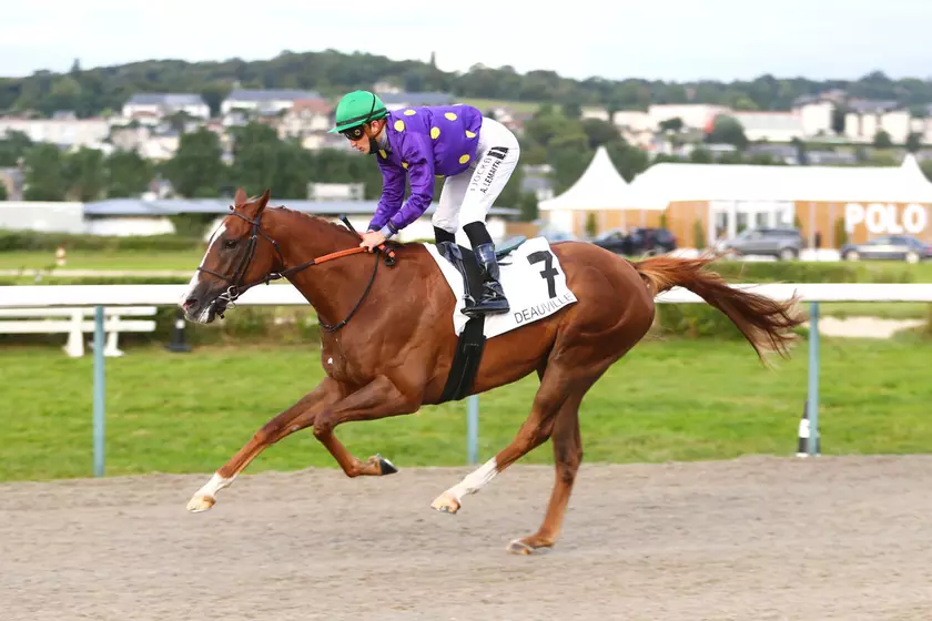 Uzel Peut Remporter Son Premier Quinté Ce Mardi 8 Mars à Chantilly
