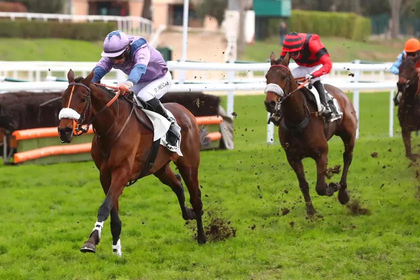 Quinté+: Arrivée du Quinté+ du lundi 19 décembre à Cagnes-sur-Mer : Vae ...