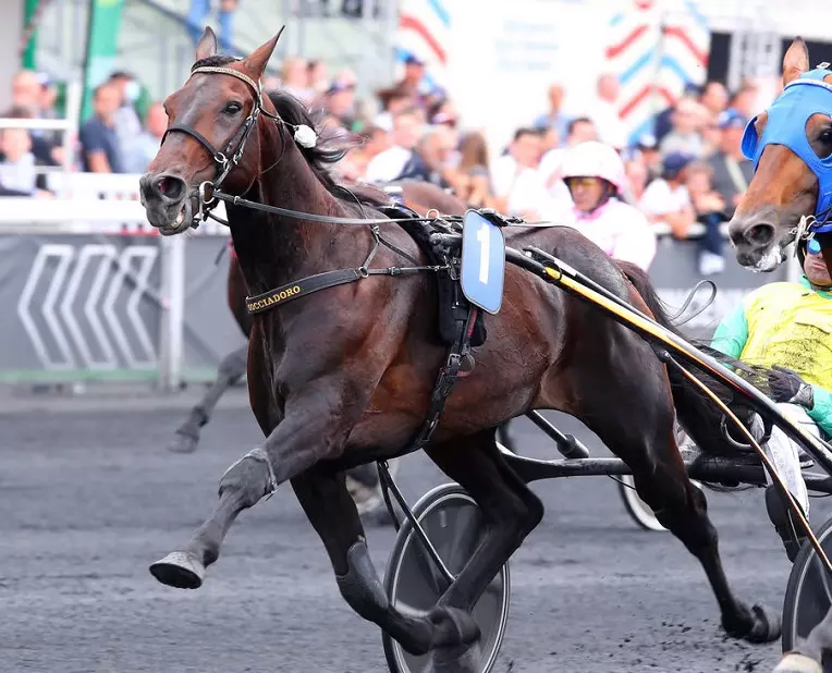 Andres Boldura : "Vivid Wise As est prêt pour le Prix de France, c’est ...