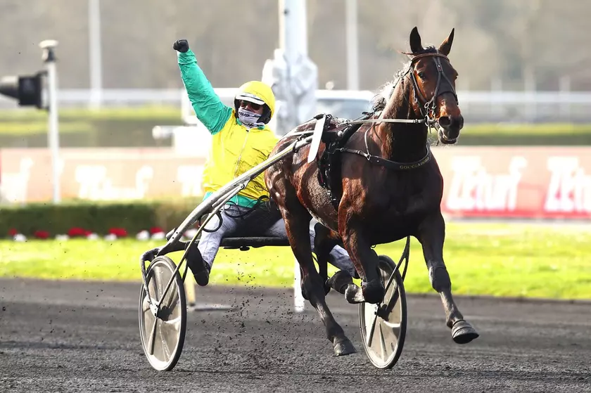 Prix de France – Speed Race : Vivid Wise As peut-il conserver sa ...