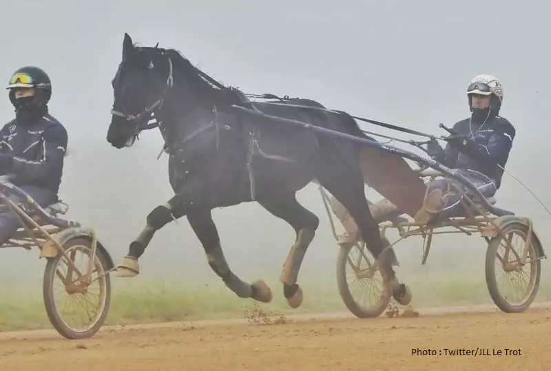 Zacon Gio, à la conquête de la France | Equidia