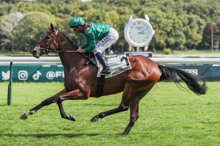 Qatar Prix Marcel Boussac – Critérium des Pouliches : Zarigana, sur les ...