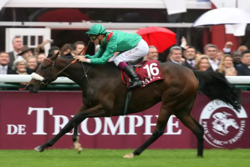 En route vers l'Arc : Zarkava, son invincible Altesse | Equidia