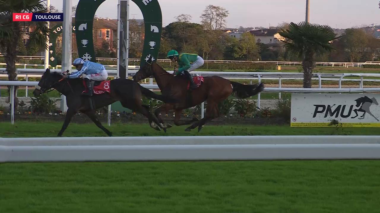 PRIX SYNERGY (PRIX C. A. TOULOUSE METROPOLE) - TOULOUSE - 11/11/2025 ...