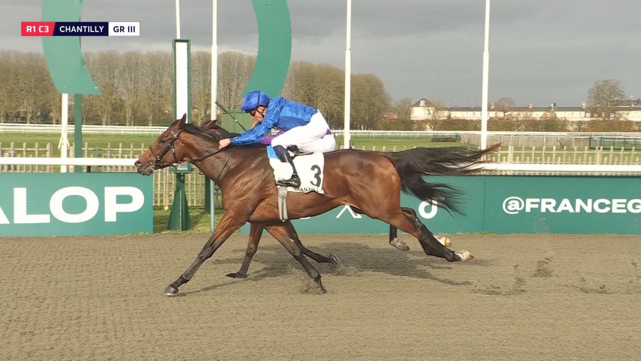 PRIX THOMAS BRYON - CHANTILLY - 18/11/2025 : partants, pronostics et ...