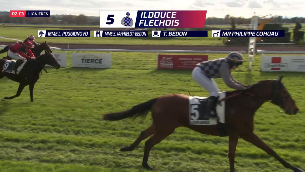 PRIX DENIS BRULET - LIGNIERES - 29/11/2025 : partants, pronostics et ...