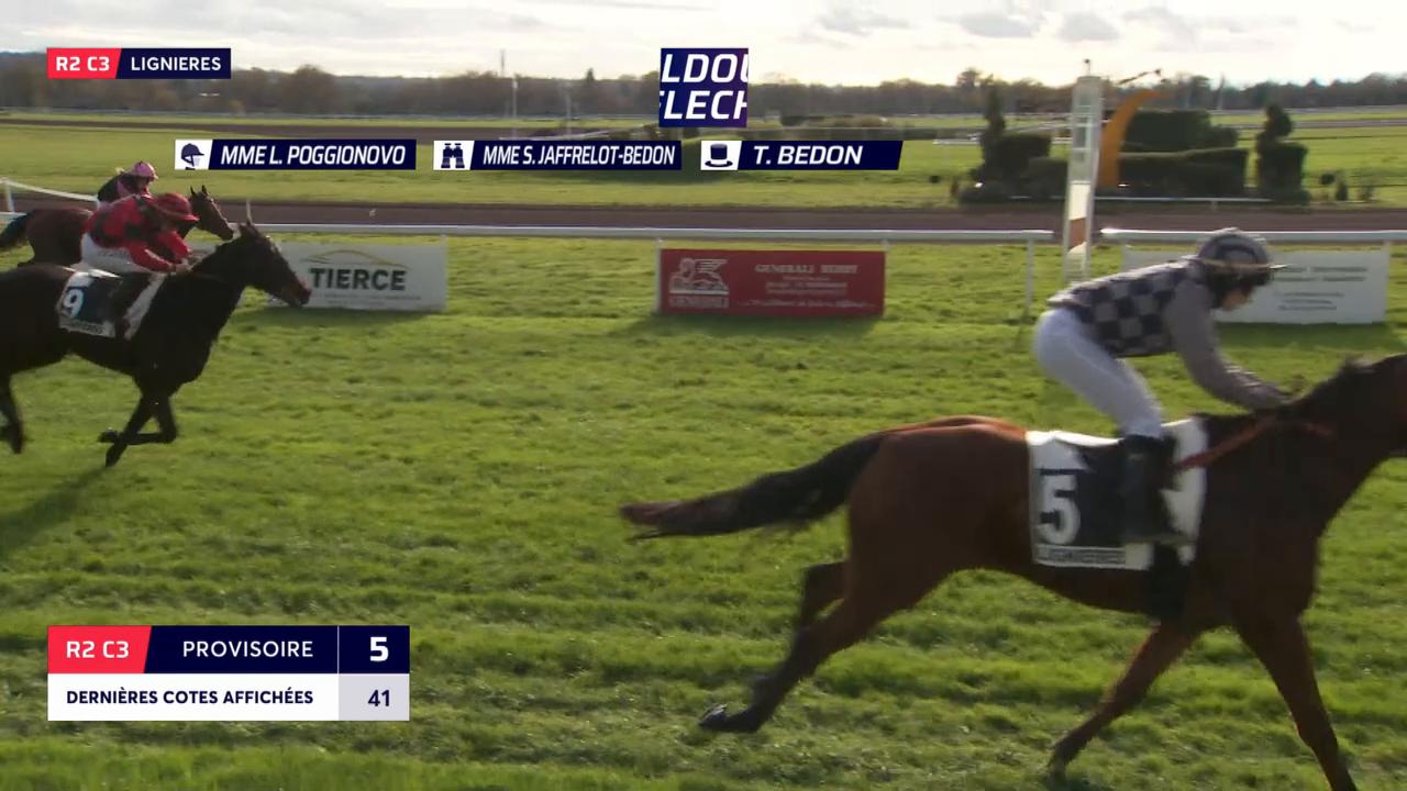 PRIX DENIS BRULET - LIGNIERES - 29/11/2025 : partants, pronostics et ...
