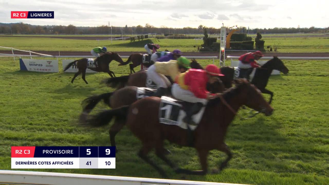 PRIX DENIS BRULET - LIGNIERES - 29/11/2025 : partants, pronostics et ...