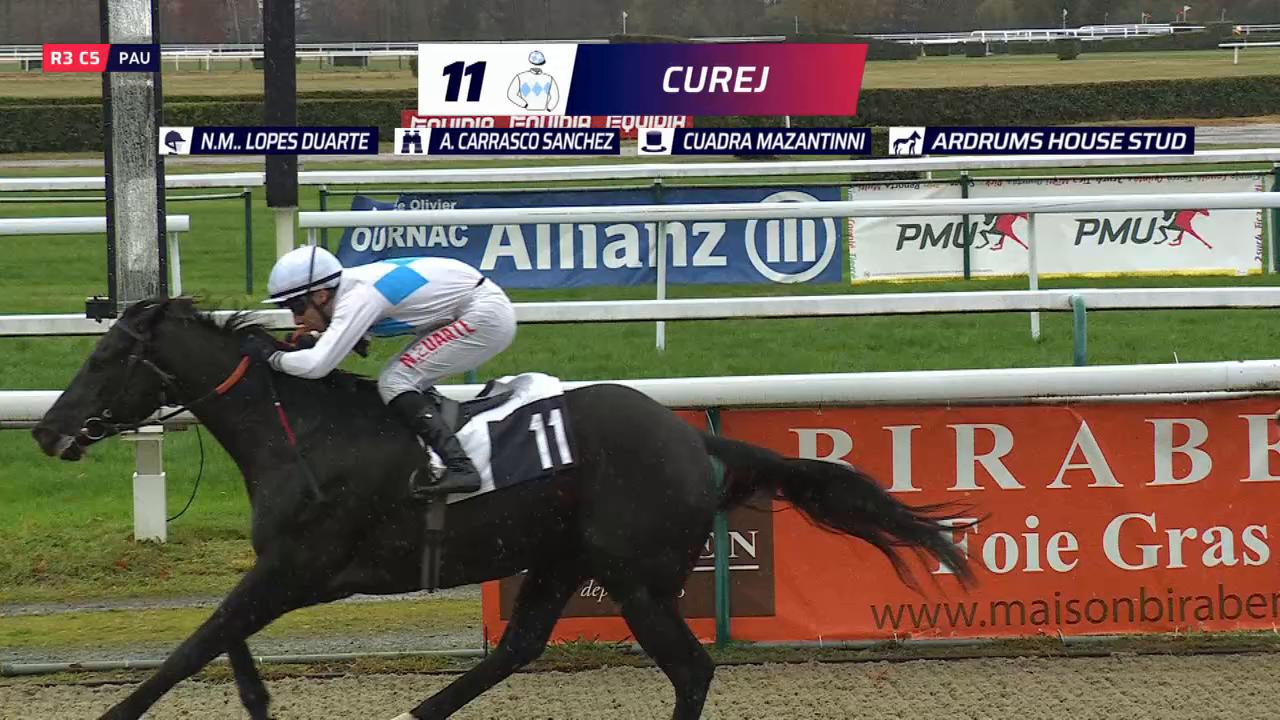 PRIX D'ARNOS - PAU - 04/12/2025 : partants, pronostics et résultats en ...