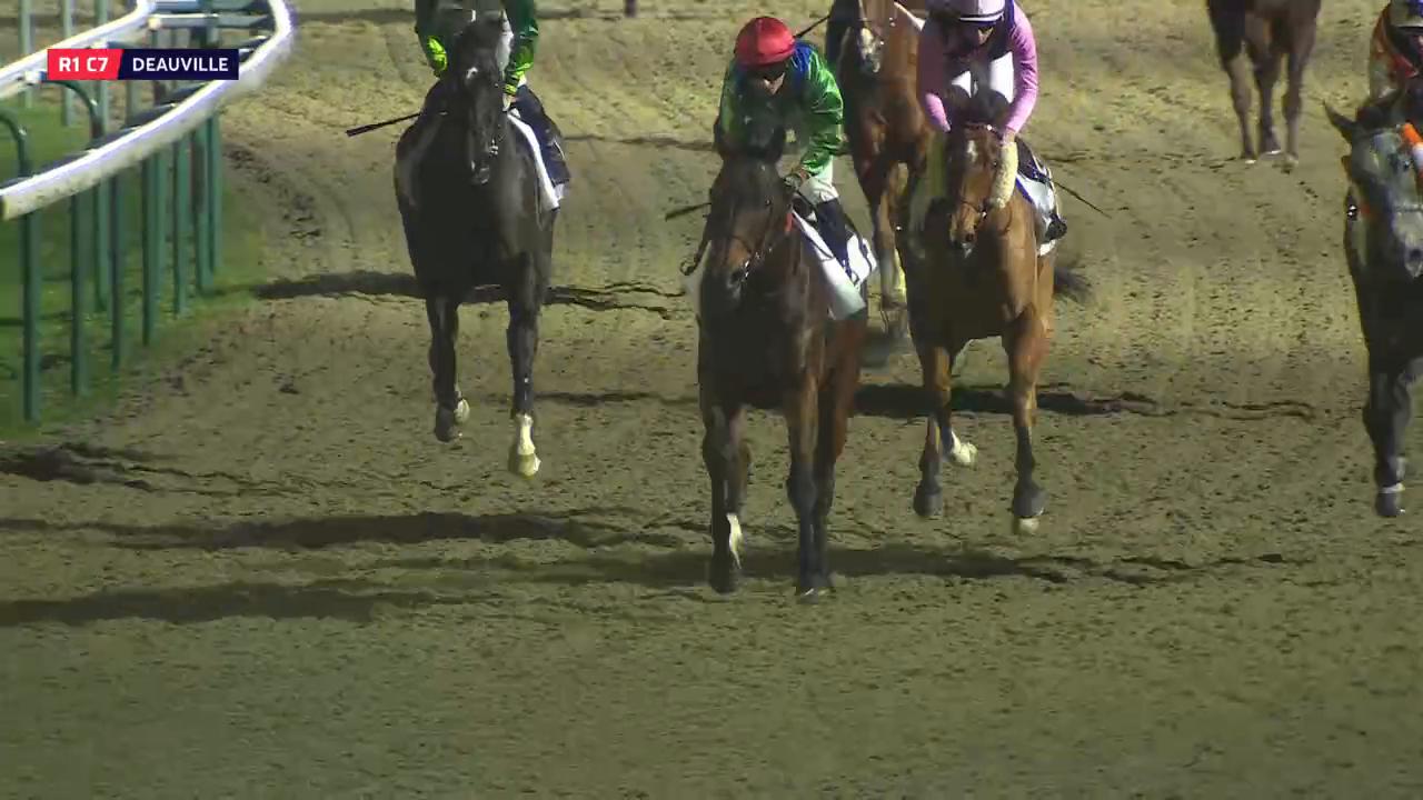 PRIX DU VAL D'ORNE - DEAUVILLE - 18/12/2025 : partants, pronostics et ...