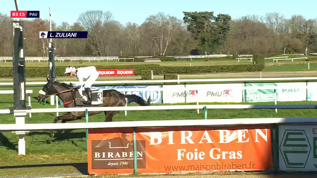 PRIX BERNARD DE DUFAU - PAU - 28/12/2025 : partants, pronostics et ...