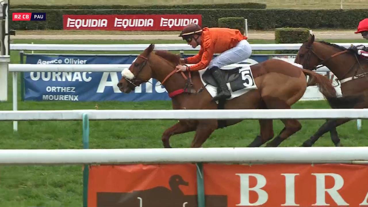 PRIX AUGUSTE DE CASTELBAJAC - PAU - 31/12/2025 : partants, pronostics ...