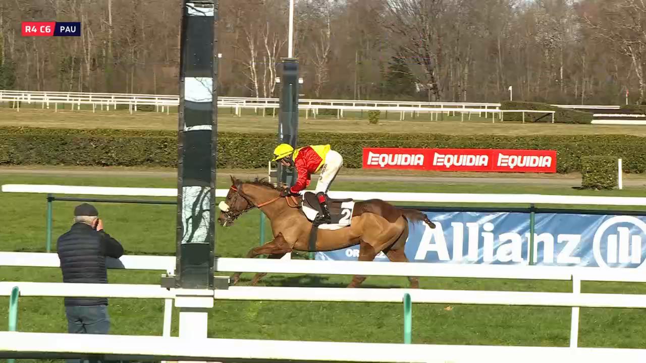 PRIX ICI BEARN BIGORRE (PRIX DE MONTARDON) - PAU - 11/01/2026 ...