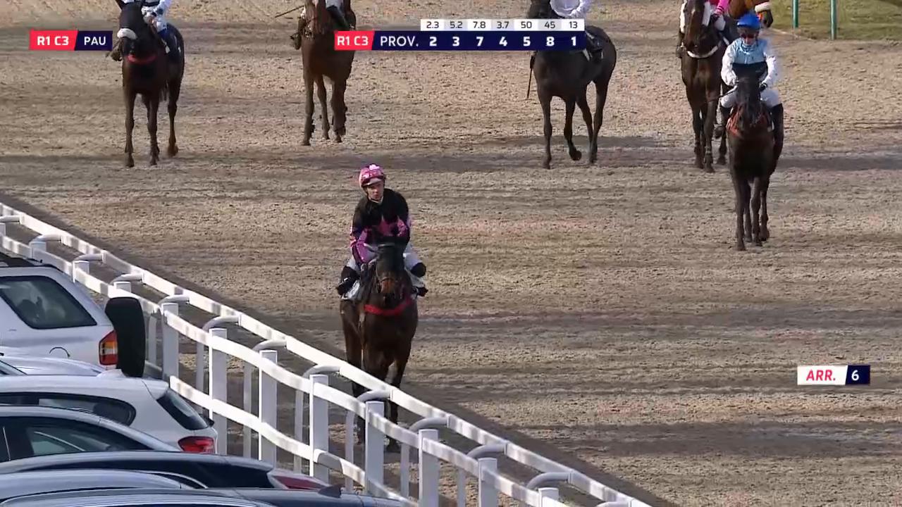 PRIX DE GRAMONT - PAU - 20/01/2026 : partants, pronostics et résultats ...