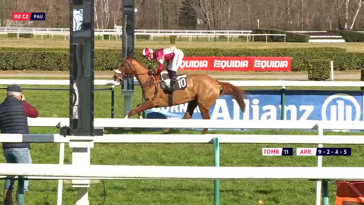 PRIX DE LA CROIX DU PRINCE - PAU - 23/01/2026 : partants, pronostics et ...