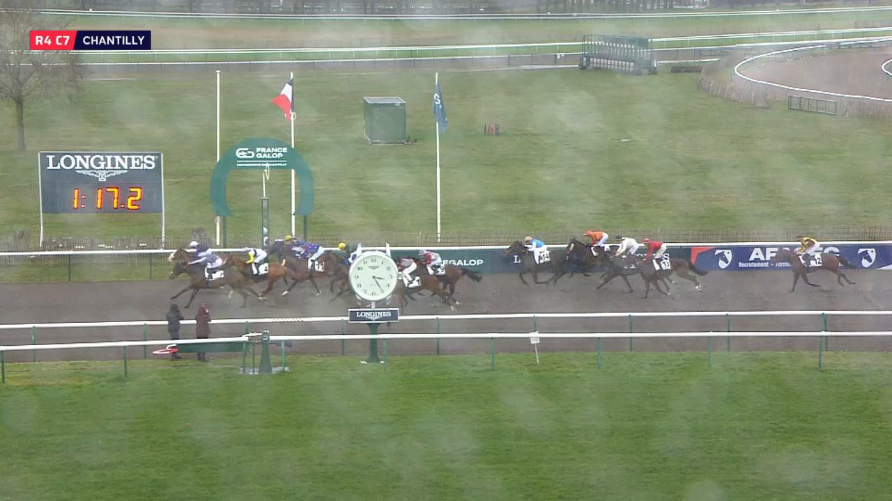 PRIX DE L'ALLEE QUINCONCE - CHANTILLY - 19/02/2026 : partants ...