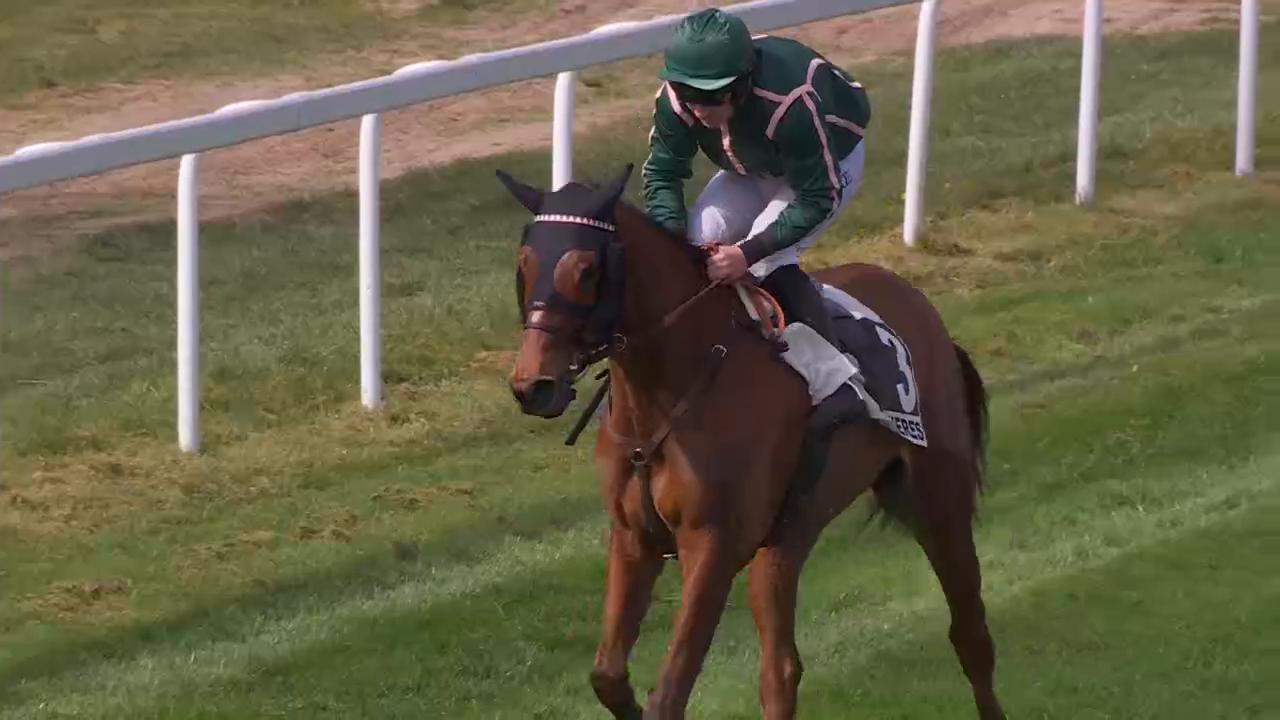 PRIX POLE DU CHEVAL ET DE L'ANE - LIGNIERES - 07/03/2026 : partants ...
