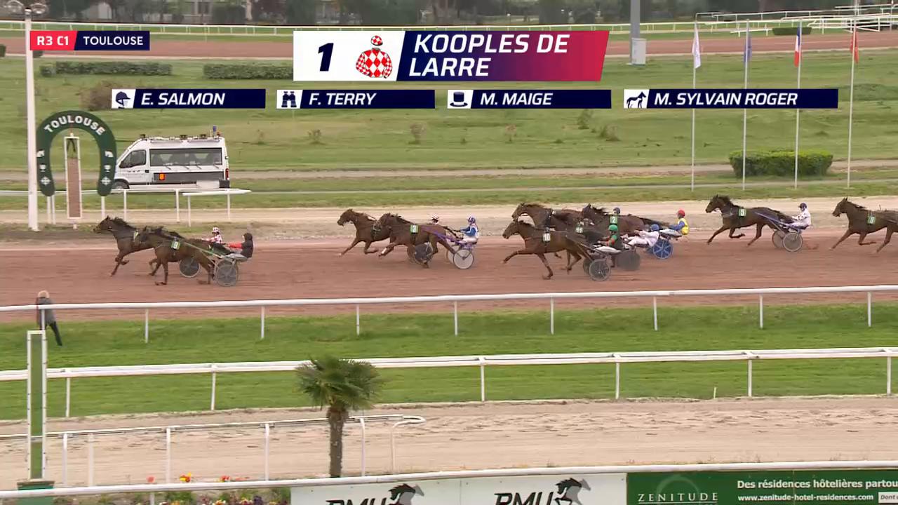 PRIX DES AMIDONNIERS - TOULOUSE - 10/04/2026 : partants, pronostics et ...