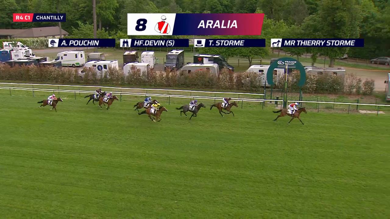 PRIX DU MONT DE PO - CHANTILLY - 04/05/2026 : partants, pronostics et ...